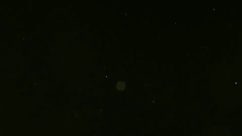Dust Particles Alpha Stock Video Footage | Royalty Free Dust Particles ...