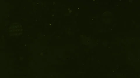 Dust Particles Alpha Stock Video Footage | Royalty Free Dust Particles ...