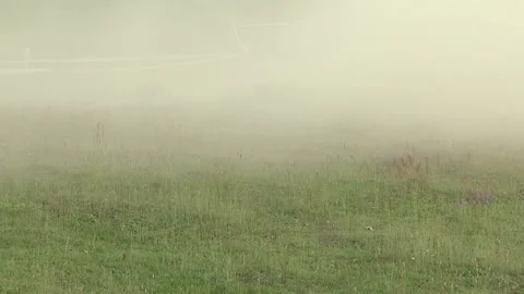 Roads Race Cars Stock Videos – Royalty-Free HD & 4K Videos | Pond5