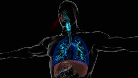 Dust particle inhaling human lungs breat... | Stock Video | Pond5