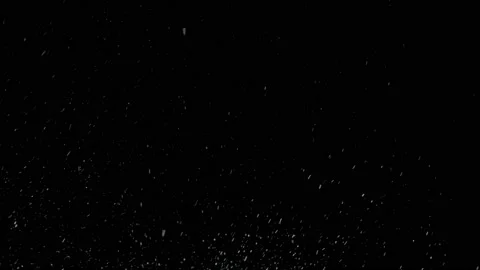 Dust Particle System, A Black Background | Stock Video | Pond5