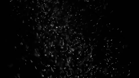 Dust Particle System, A Black Background... | Stock Video | Pond5