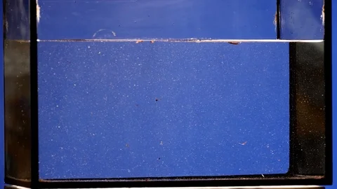 dust particles in a bowl of water on Blu... | Stock Video | Pond5