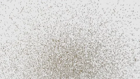 Dust Particles effect flying seamless lo... | Stock Video | Pond5