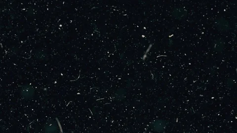 Dust particles falling on black backgrou... | Stock Video | Pond5