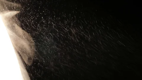 Dust Particles Flowing in Bright Light B... | Stock Video | Pond5