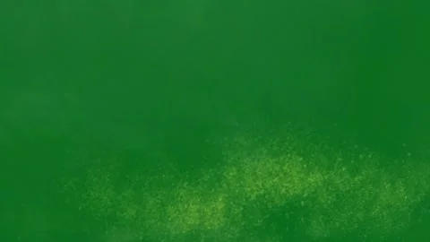 Dust Green Screen Stock Video Footage | Royalty Free Dust Green Screen ...