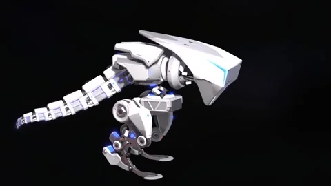 Animal 3D Studio Stock Videos – Royalty-Free HD & 4K Videos