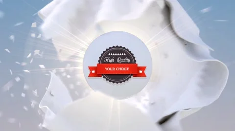 Dynamic Particle Logo Reveal ~ After Effects #51017301