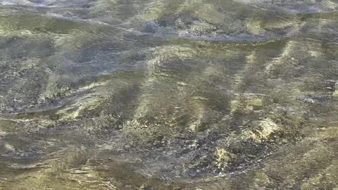 Dynamic Red Sea Currents in Egypt's Shal... | Stock Video | Pond5