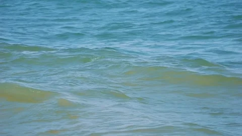 Force Dynamic Stock Videos – Royalty-Free HD & 4K Videos