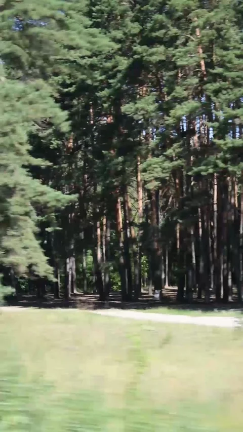 Dynamic Drving Stock Videos – Royalty-Free HD & 4K Videos | Page 2