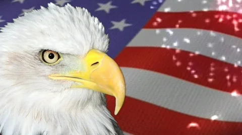 Flag and Eagle Stock Videos – Royalty-Free HD & 4K Videos