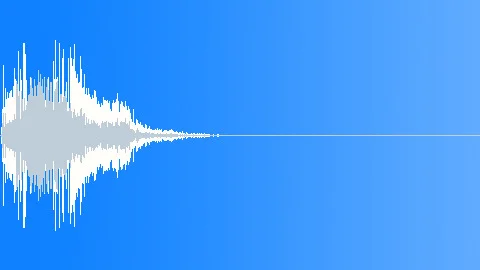 Eagle Falcon Hawk Bird 02 ~ Stock Sound Effect #191922978