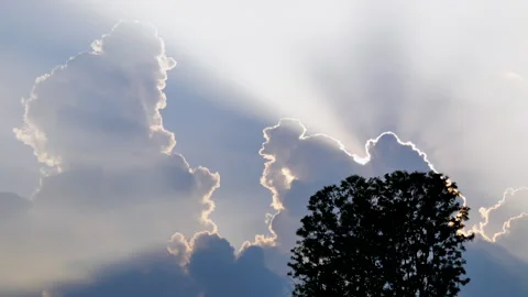 An eagle flying in the sky with sun rays... | Stock Video | Pond5