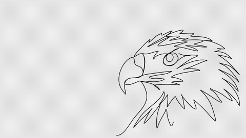 Eagle. One line drawing animation. Video... | Stock Video | Pond5