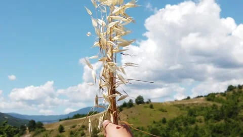 Start Ne Stock Videos – Royalty-Free HD & 4K Videos | Pond5