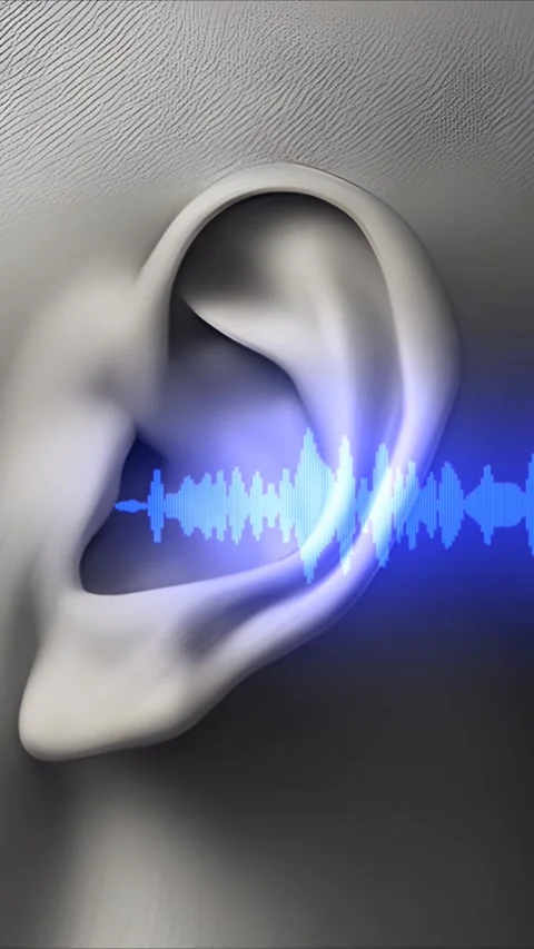 Short Sound I Stock Videos – Royalty-Free HD & 4K Videos | Pond5