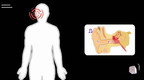 Ear - vector animation - analysis - blac... | Stock Video | Pond5