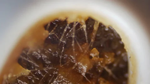 Ear wax cleaning. Dirty TWS headphones u... | Stock Video | Pond5