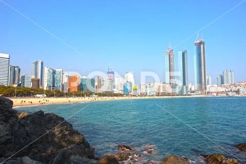 Photograph: Early spring when plum blooms, Haeundae Beach, Haeundae ...
