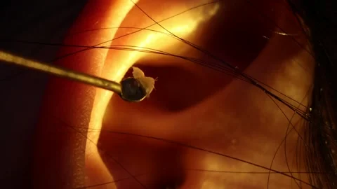 Dirty Ears Stock Video Footage | Royalty Free Dirty Ears Videos | Pond5