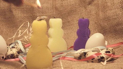 Testicle Stock Footage ~ Royalty Free Stock Videos | Pond5