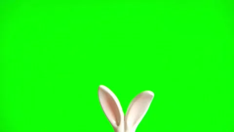 Easter Bunny Green Screen Stock Footage ~ Royalty Free Stock Videos | Pond5