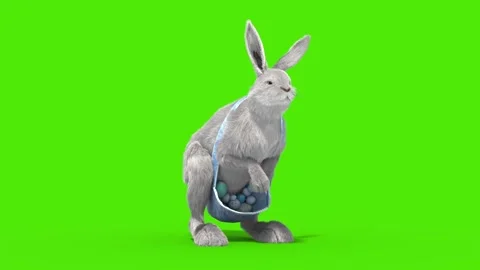 Easter Bunny Green Screen Stock Footage ~ Royalty Free Stock Videos | Pond5