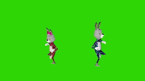 Easter couple rabbits dancing, loop, Gre... | Stock Video | Pond5