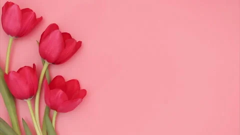 Easter stop motion animation. Assorted E... | Stock Video | Pond5