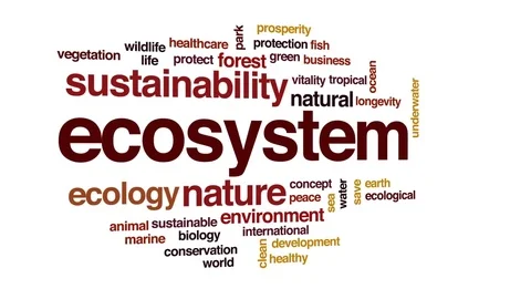 Ecosystem animated word cloud, text desi... | Stock Video | Pond5