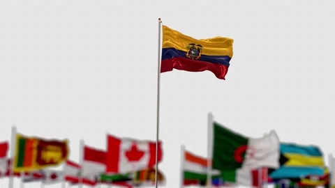 Ecuador flag with world flags alpha | Stock Video | Pond5