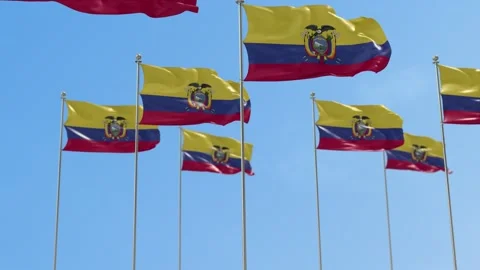 Ecuador Row Of National flags Walk Throw... | Stock Video | Pond5