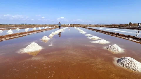 Editorial. Khmer people gathering salt i... | Stock Video | Pond5