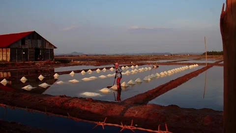 Editorial. Khmer woman gathering salt in... | Stock Video | Pond5