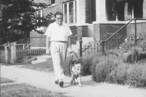 An educational film on dogs with rabies ... | Stock Video | Pond5