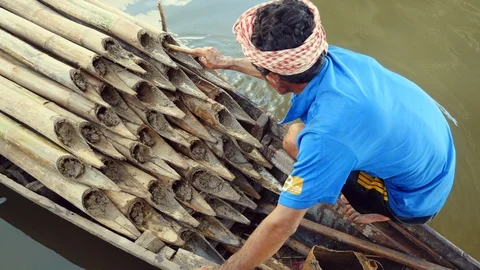 Tube and Eel Stock Videos – Royalty-Free HD & 4K Videos