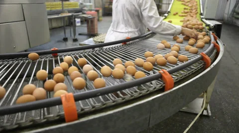 Egg Production Stock Video Footage | Royalty Free Egg Production Videos ...