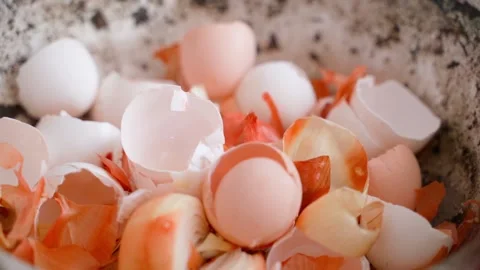 Grocery Dispose Stock Footage ~ Royalty Free Stock Videos | Pond5