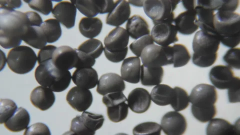 Eggs of brine shrimp under microscope. T... | Stock Video | Pond5