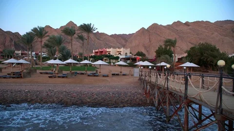 Egypt Dahab palm trees and sea. | Stock Video | Pond5
