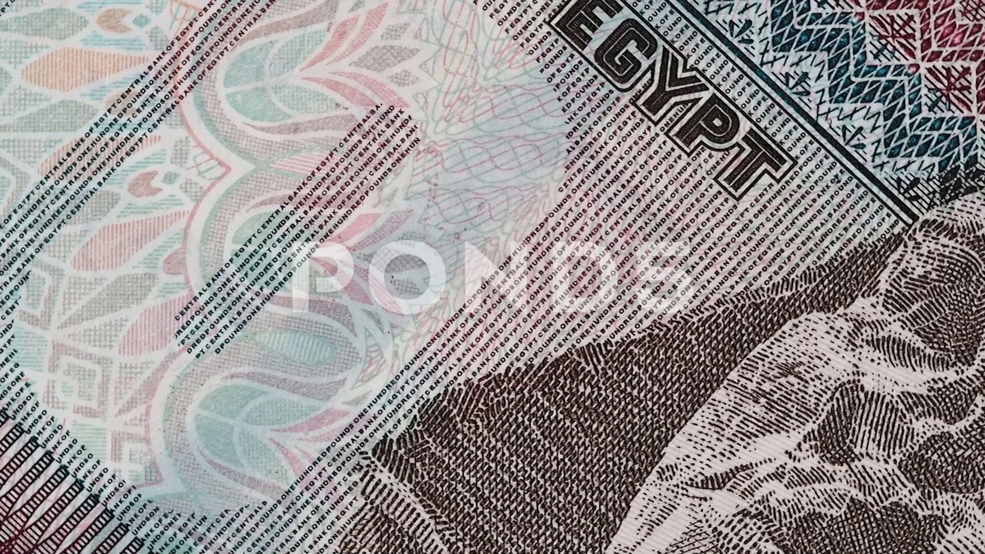 Money Of Egyp Central Bank 100 Pounds