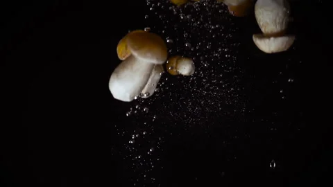 Menu Sizes Stock Videos – Royalty-Free HD & 4K Videos