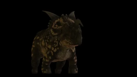 Einiosaurus on transparent background | Stock Video | Pond5