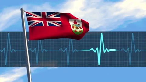 Ekg Sound Stock Footage ~ Royalty Free Stock Videos | Pond5