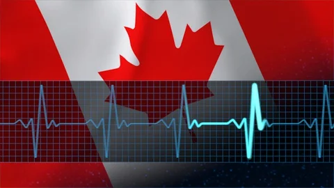 Ekg Display Stock Video Footage | Royalty Free Ekg Display Videos | Pond5