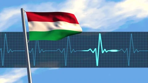 Ekg Sound Stock Footage ~ Royalty Free Stock Videos | Pond5