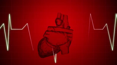 EKG Pulse Trace with Human Heart | Loopa... | Stock Video | Pond5