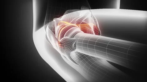 Elbow moving ligaments and joint anatomy... | Stock Video | Pond5